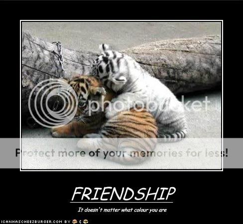 Friendship Graphics Code | Friendship Comments & Pictures
