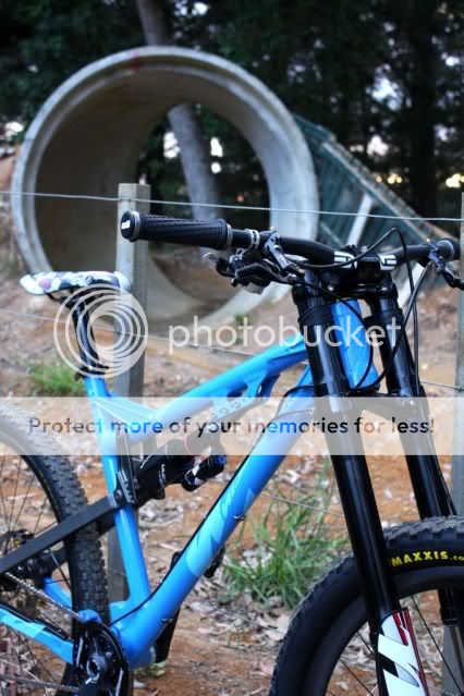 Nicolai Helius AM 29ner